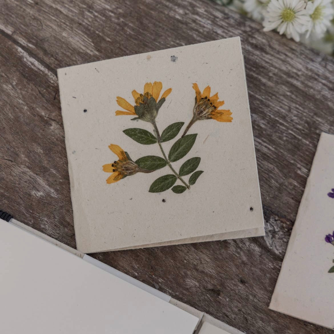 Note Card – ALo Naturals